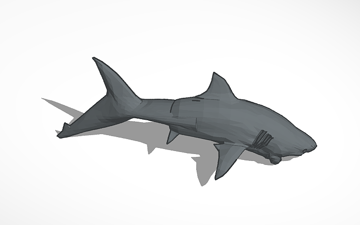 3D design Shark - Tinkercad