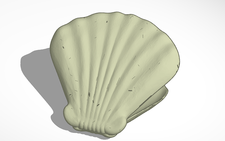 3D design shell - Tinkercad