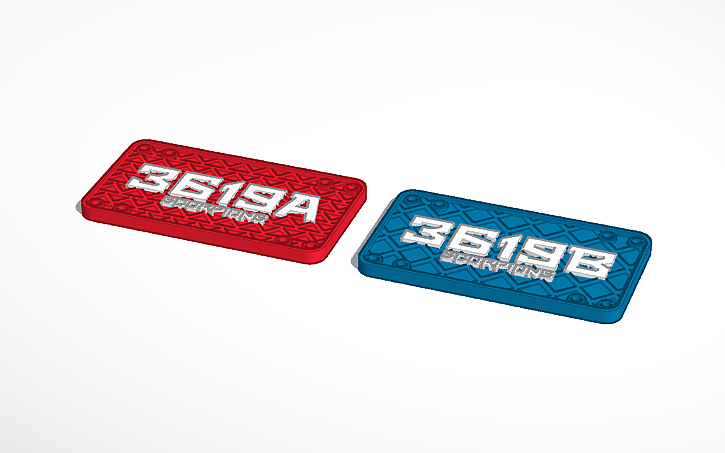 3D design 3619 Team Scorpions VEX VRC Custom License Plates - Tinkercad