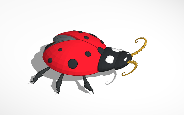 3D design Ladybug - Tinkercad