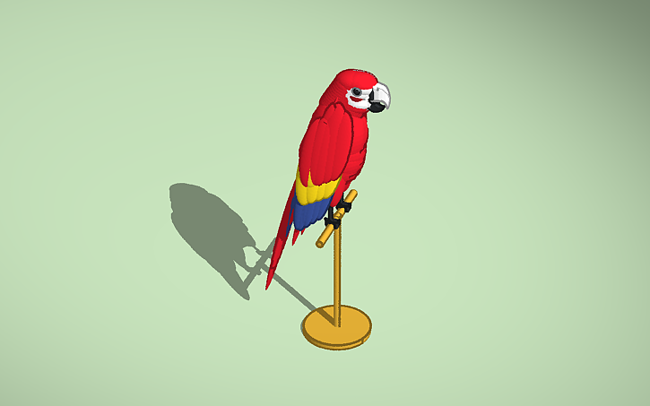 3D design Scarlet Macaw - Tinkercad
