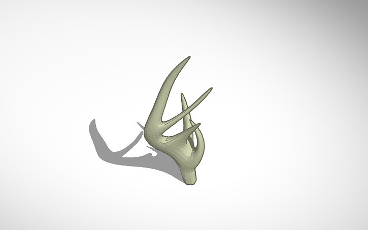 3D design Antler Left-Fixed1 - Tinkercad