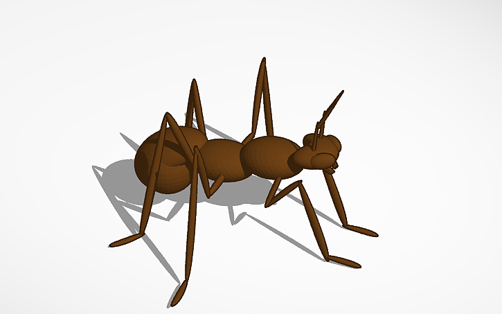 3D design Ant - Tinkercad