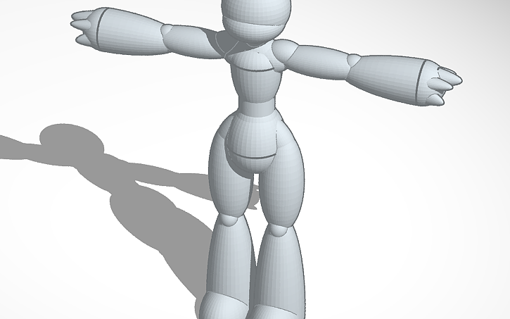 3D design Human Model - Tinkercad